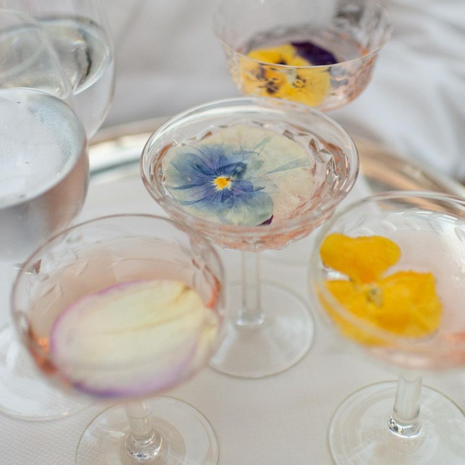 LUDLOW KINGSLEY | Norman & Blake